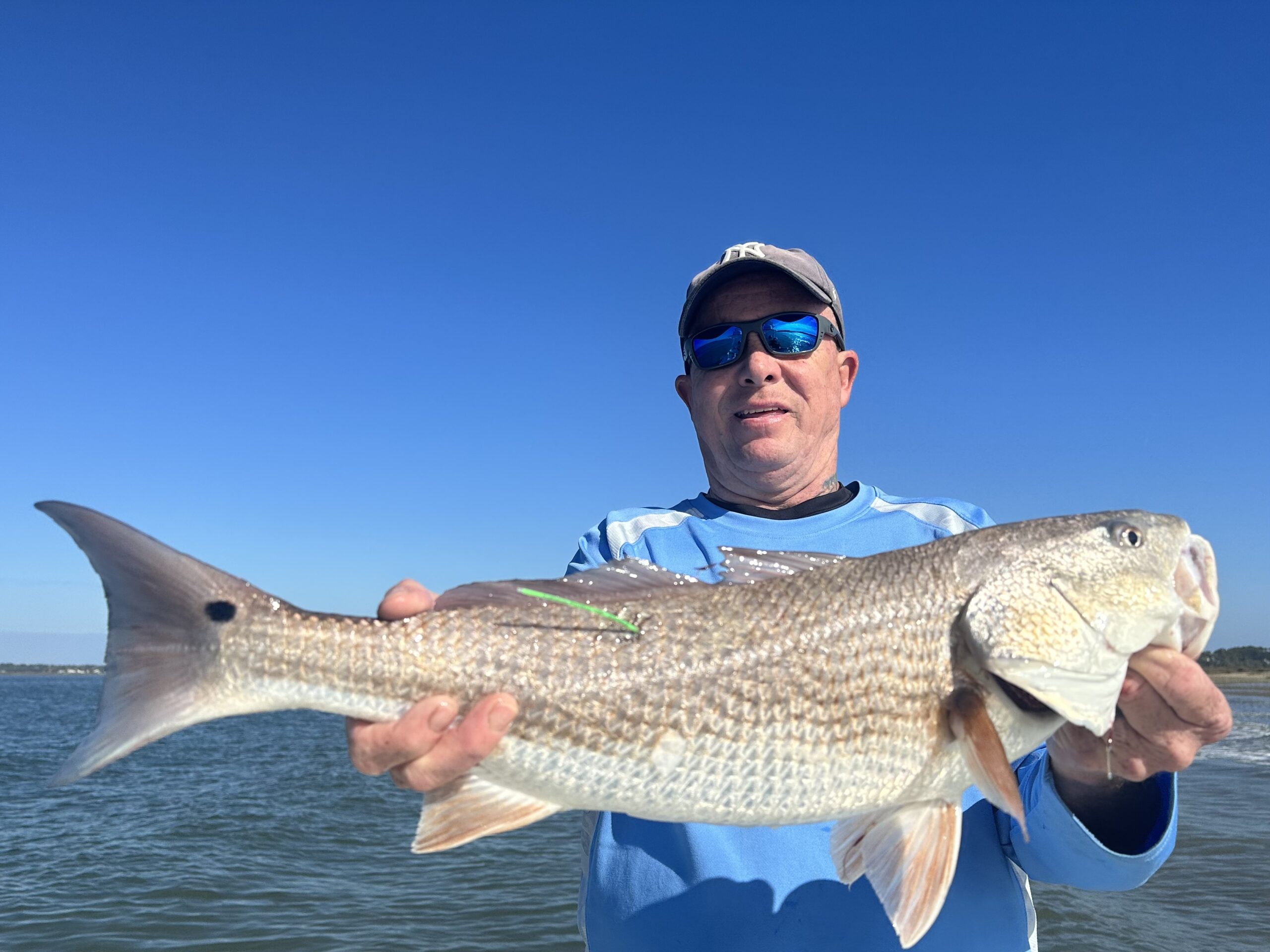 Wesley Rose | Gray FishTag Research