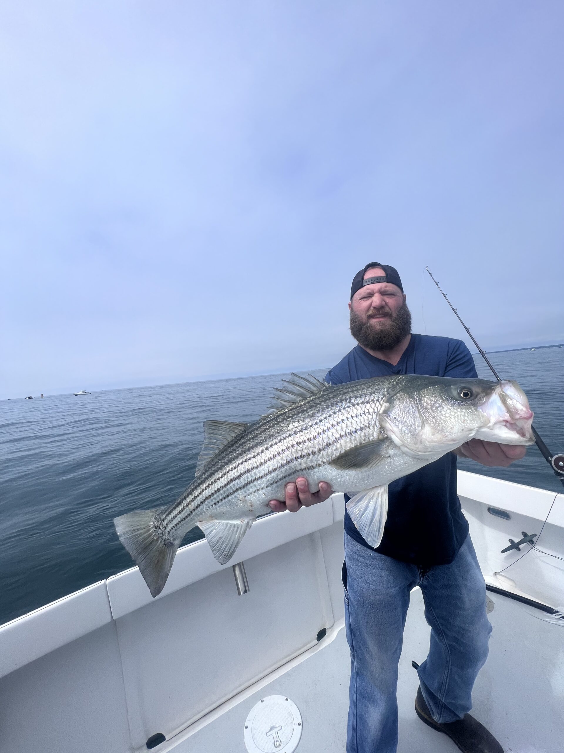 Fish Tagging Activity | Gray FishTag Research