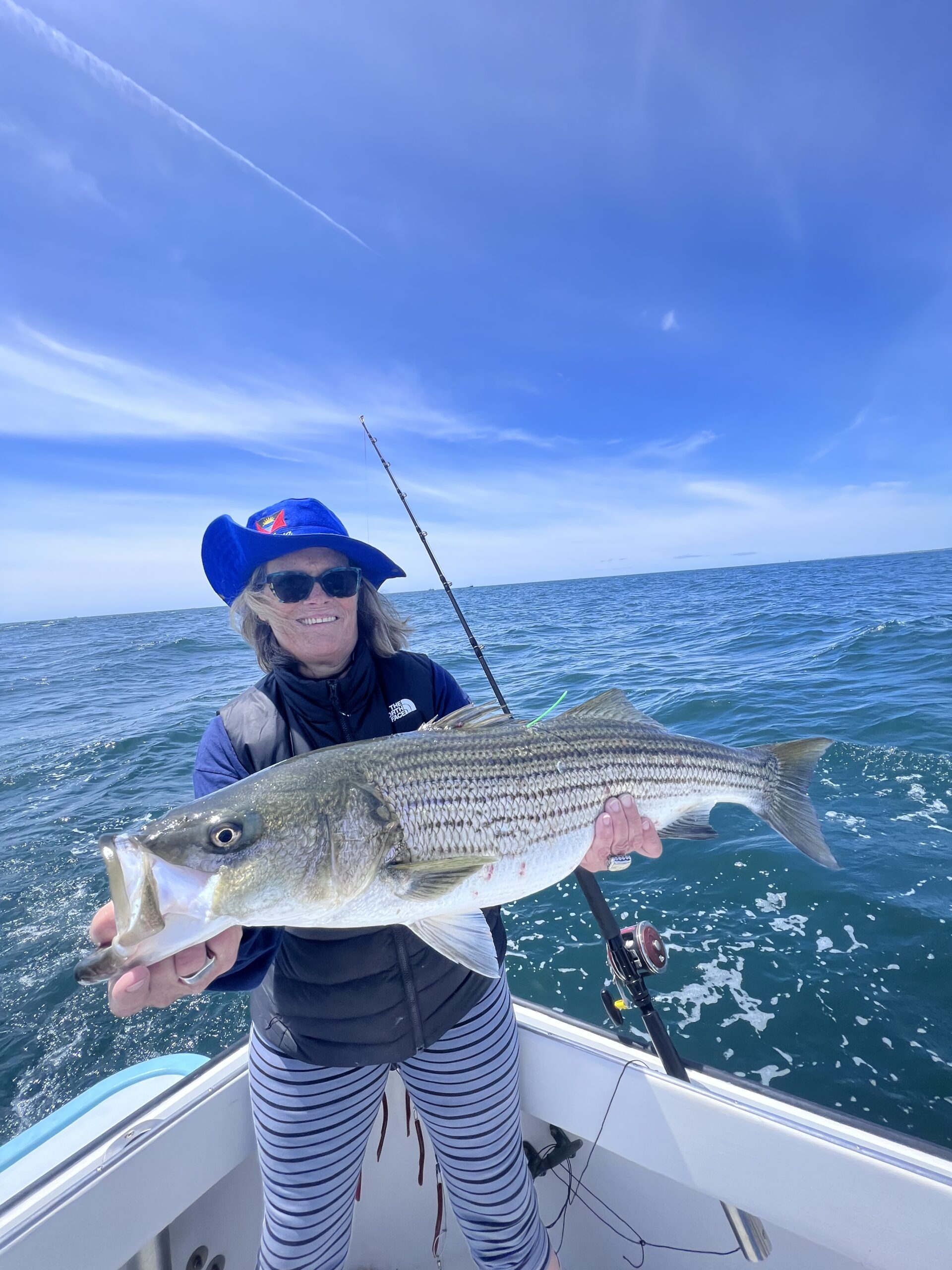 Fish Tagging Activity | Gray FishTag Research