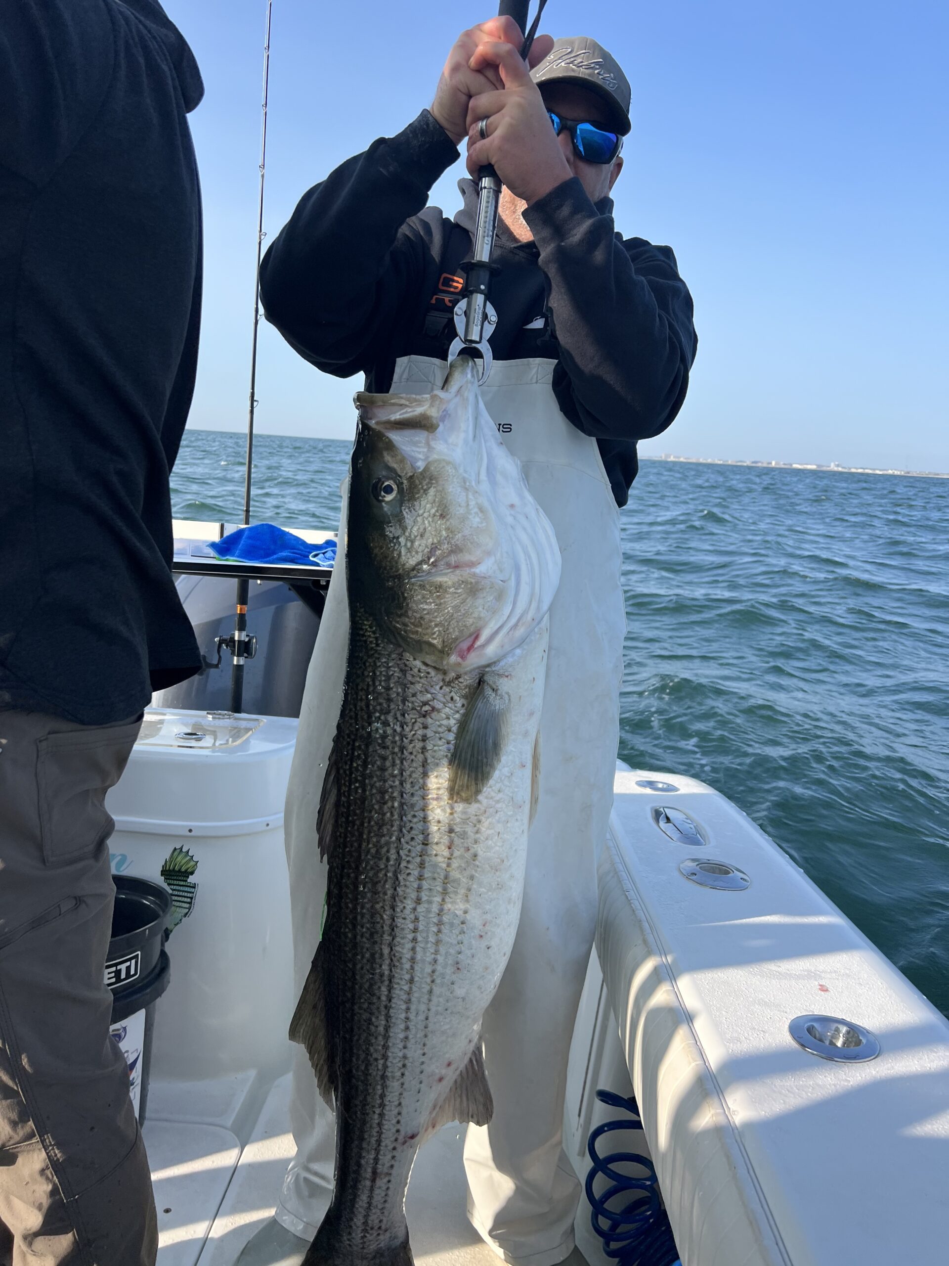 Skinny | Gray FishTag Research