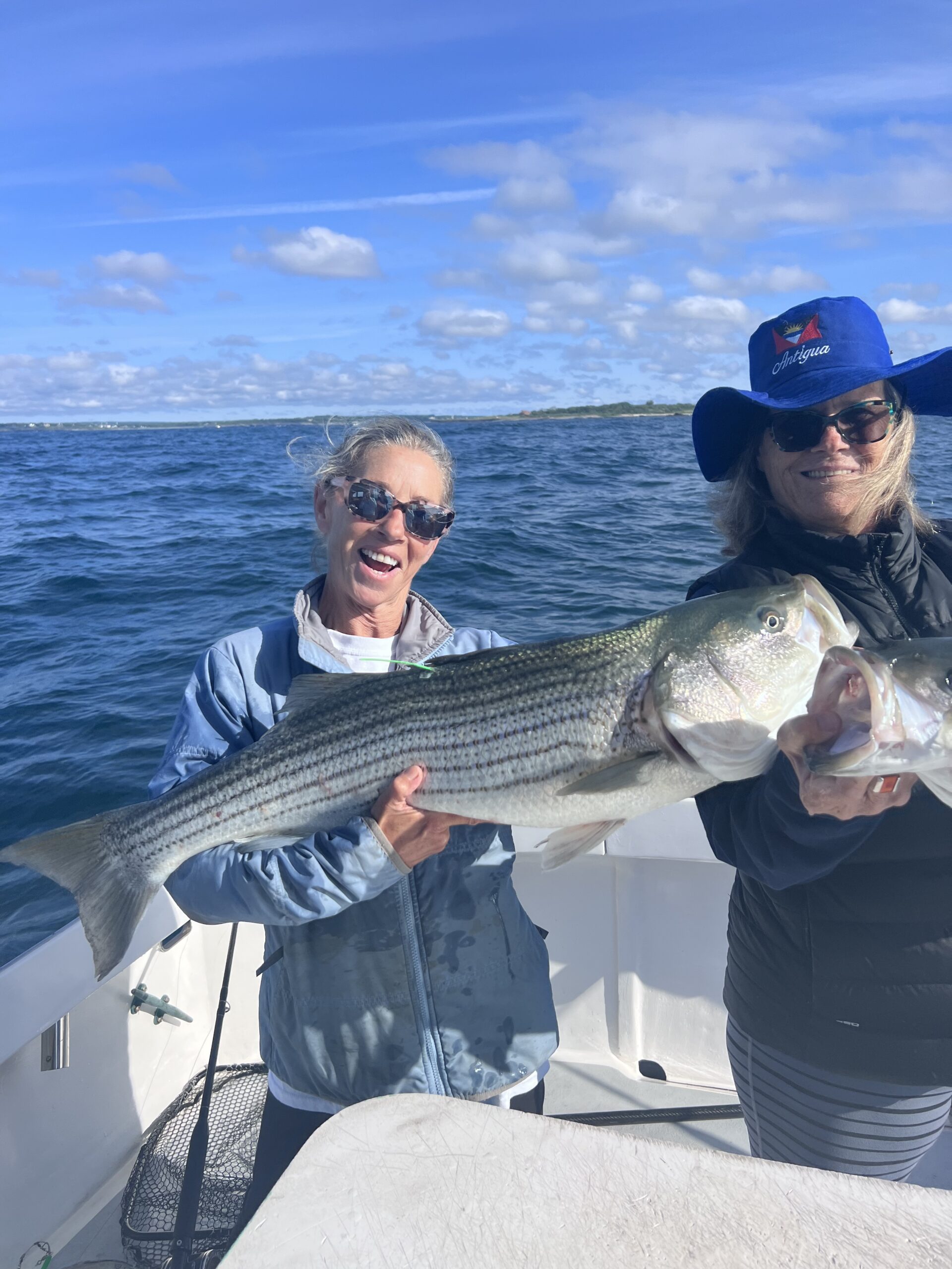 Fish Tagging Activity | Gray FishTag Research