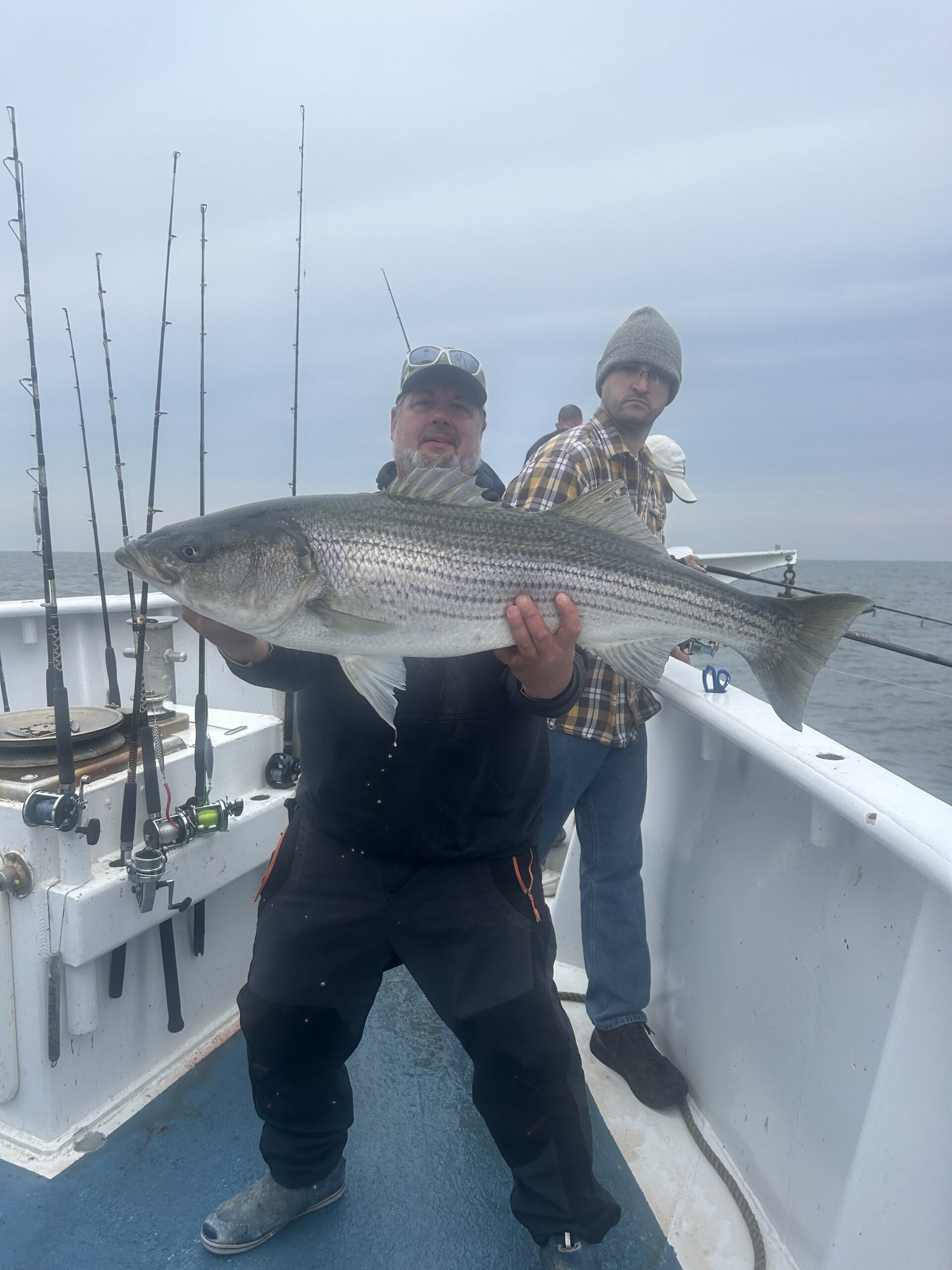 Finneus | Gray FishTag Research