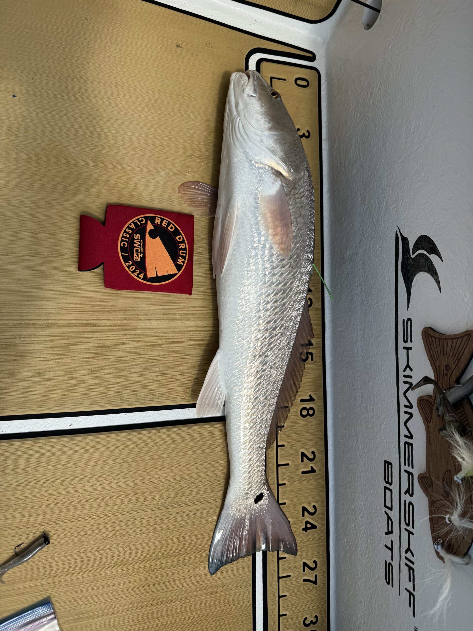 Redfish 3 | Gray FishTag Research