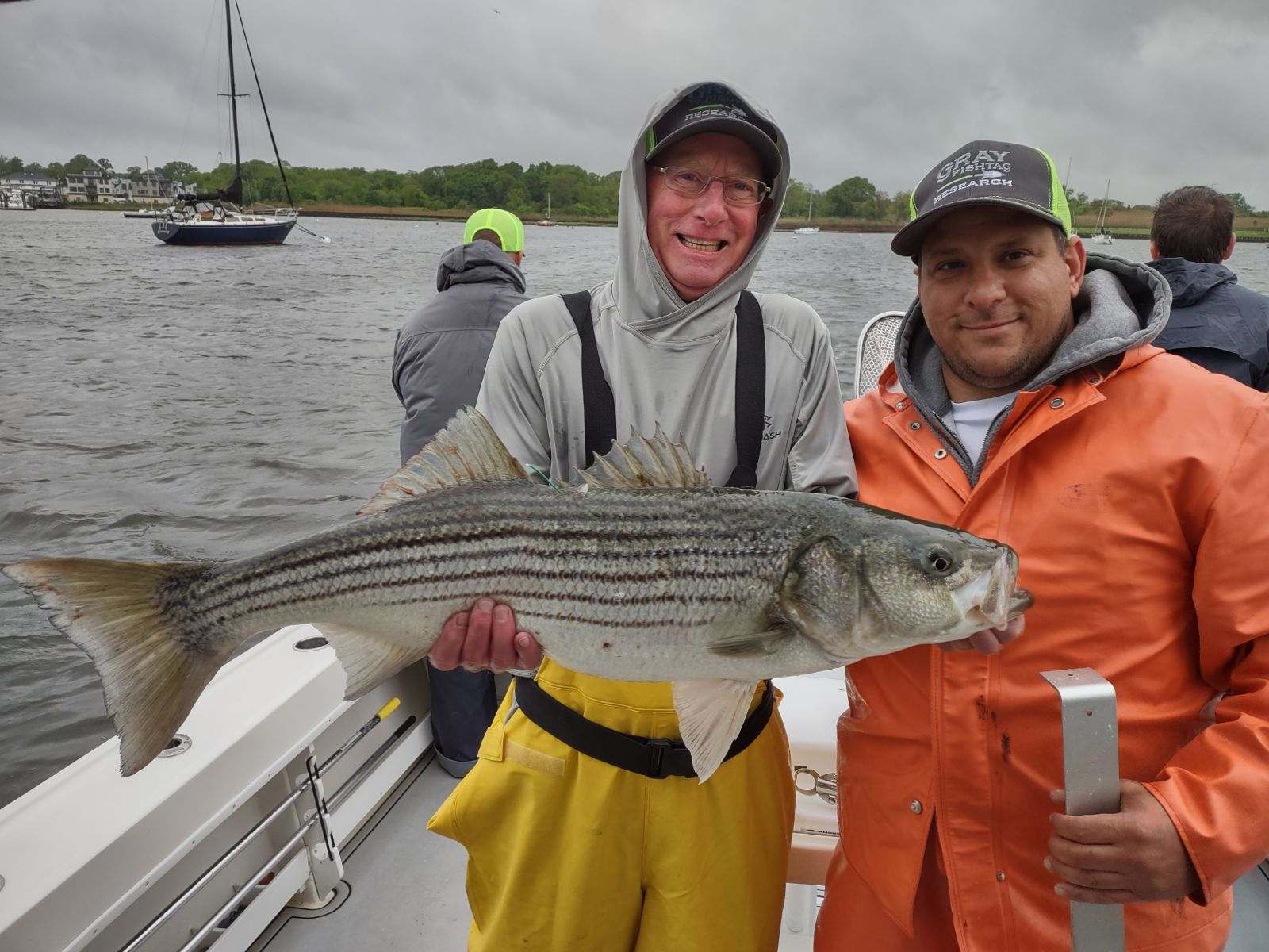 Concetta | Gray FishTag Research