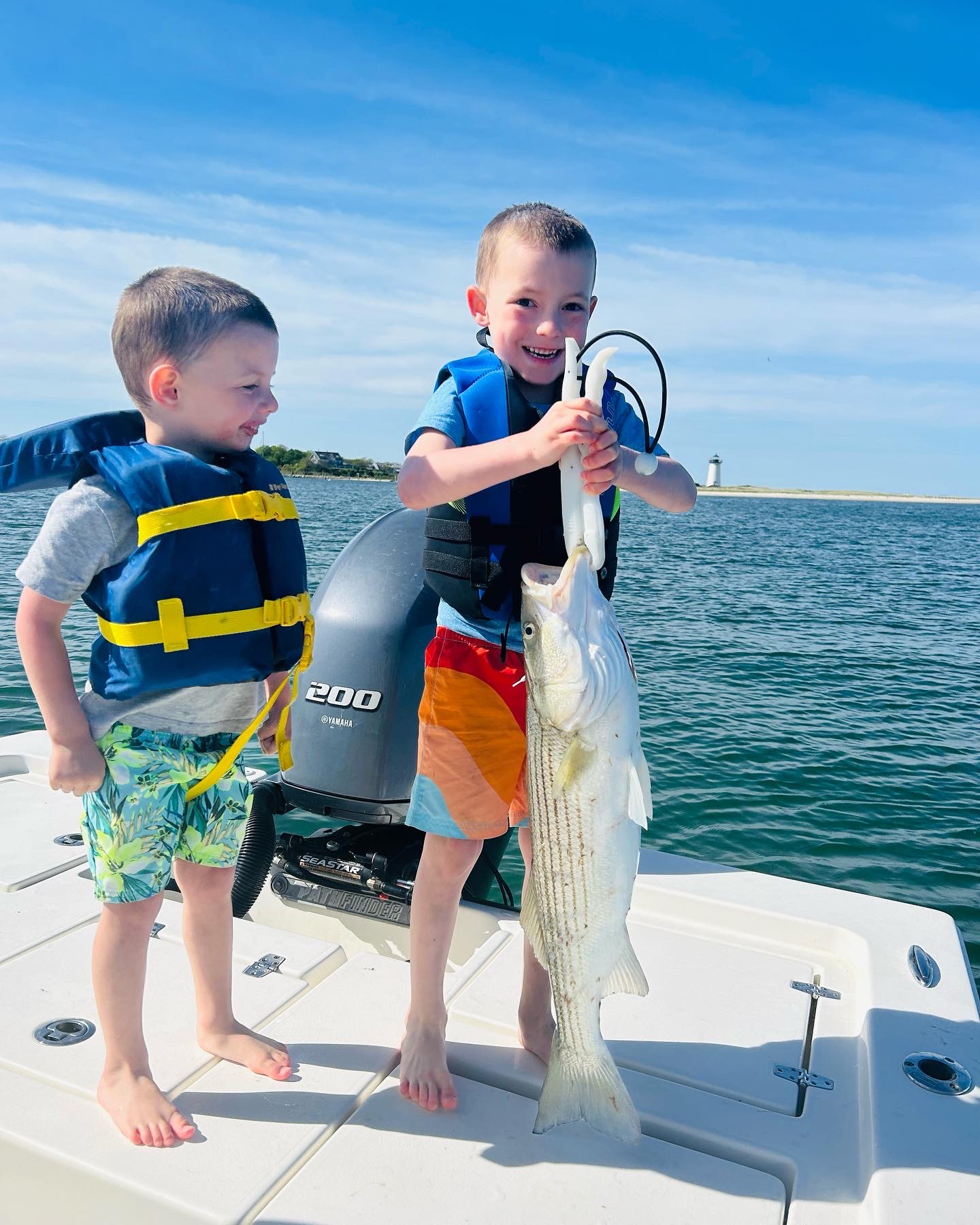 Bluey | Gray FishTag Research
