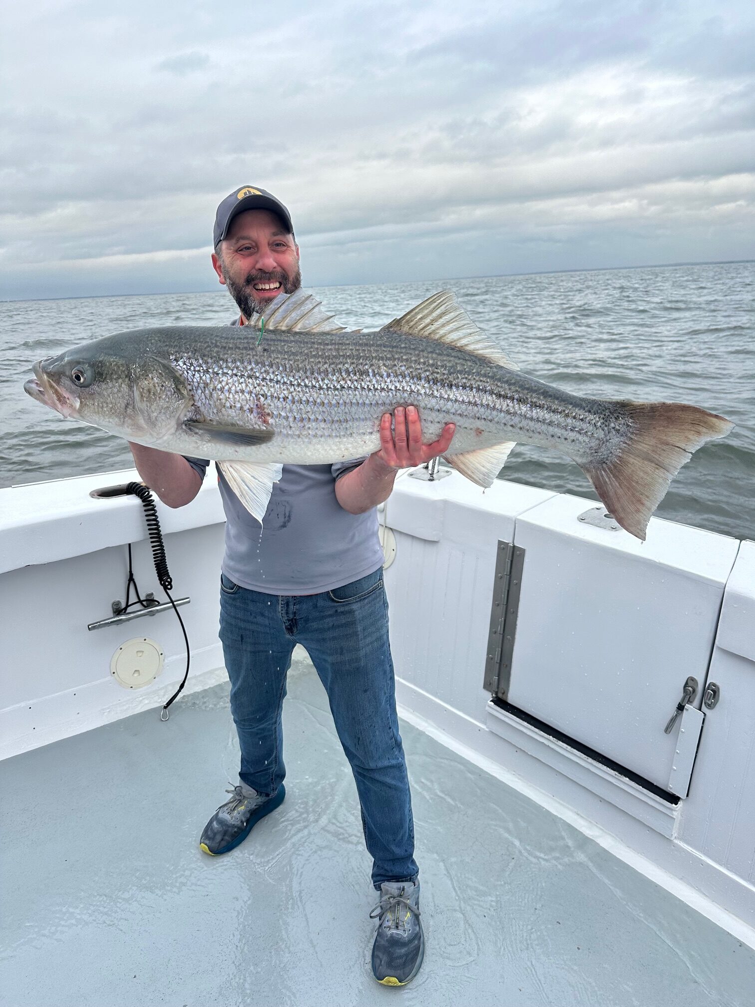 Lisaac | Gray FishTag Research