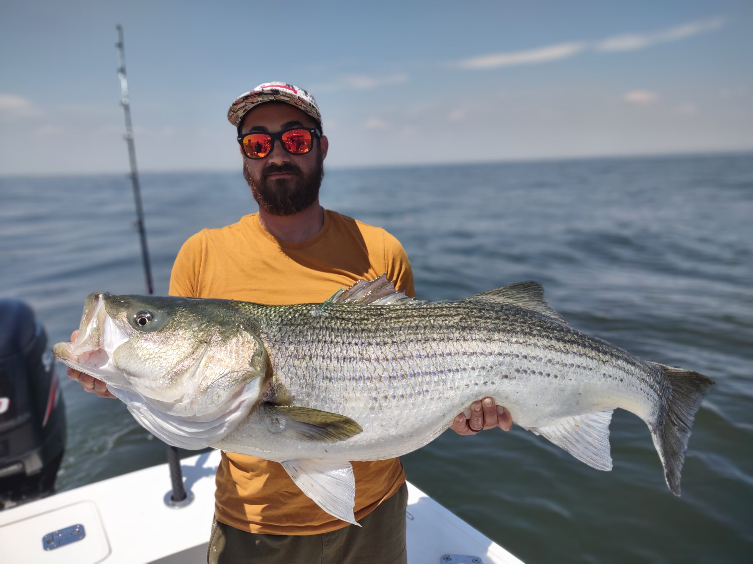 Pague | Gray FishTag Research