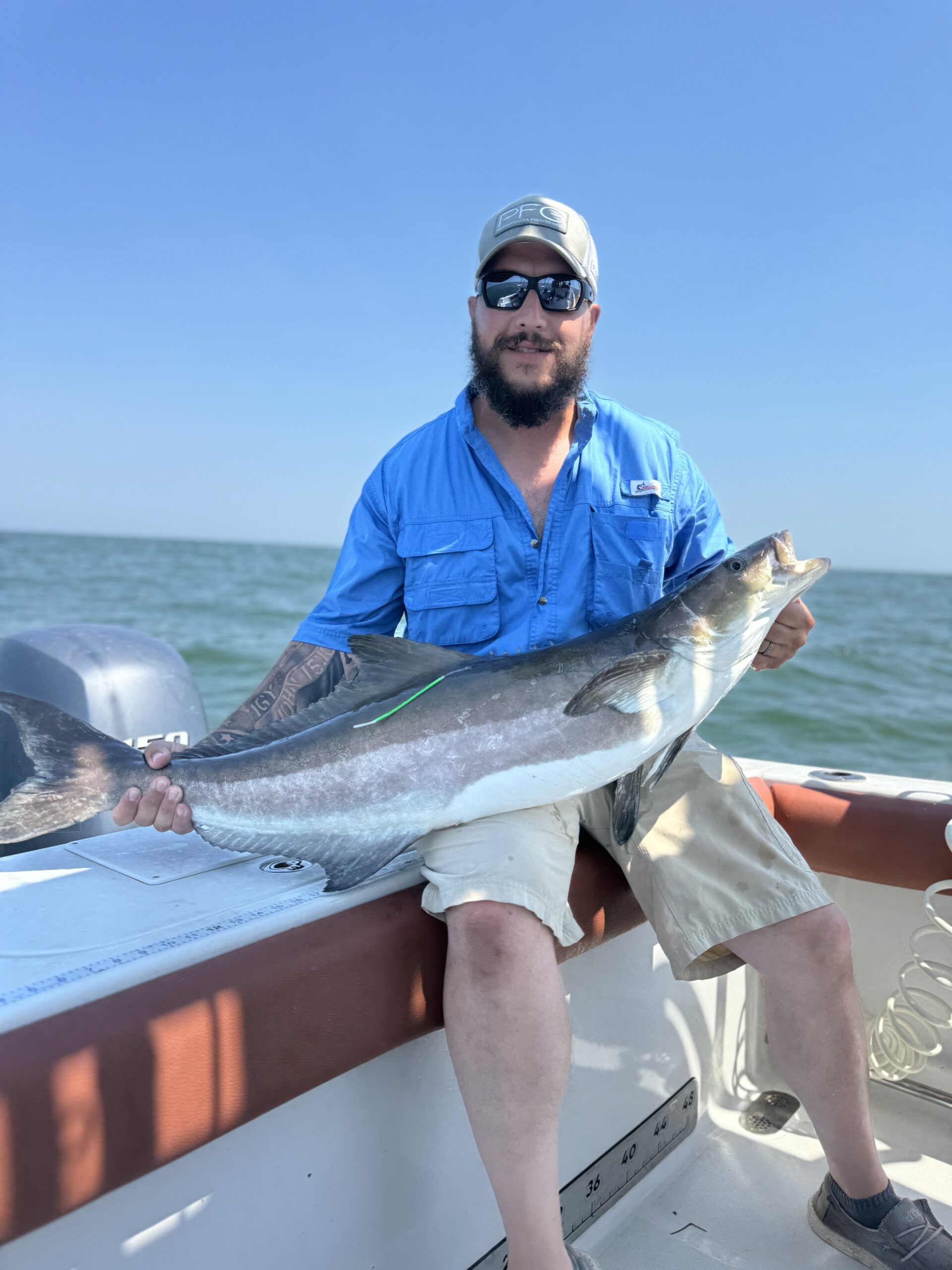 Shawn Sines | Gray FishTag Research