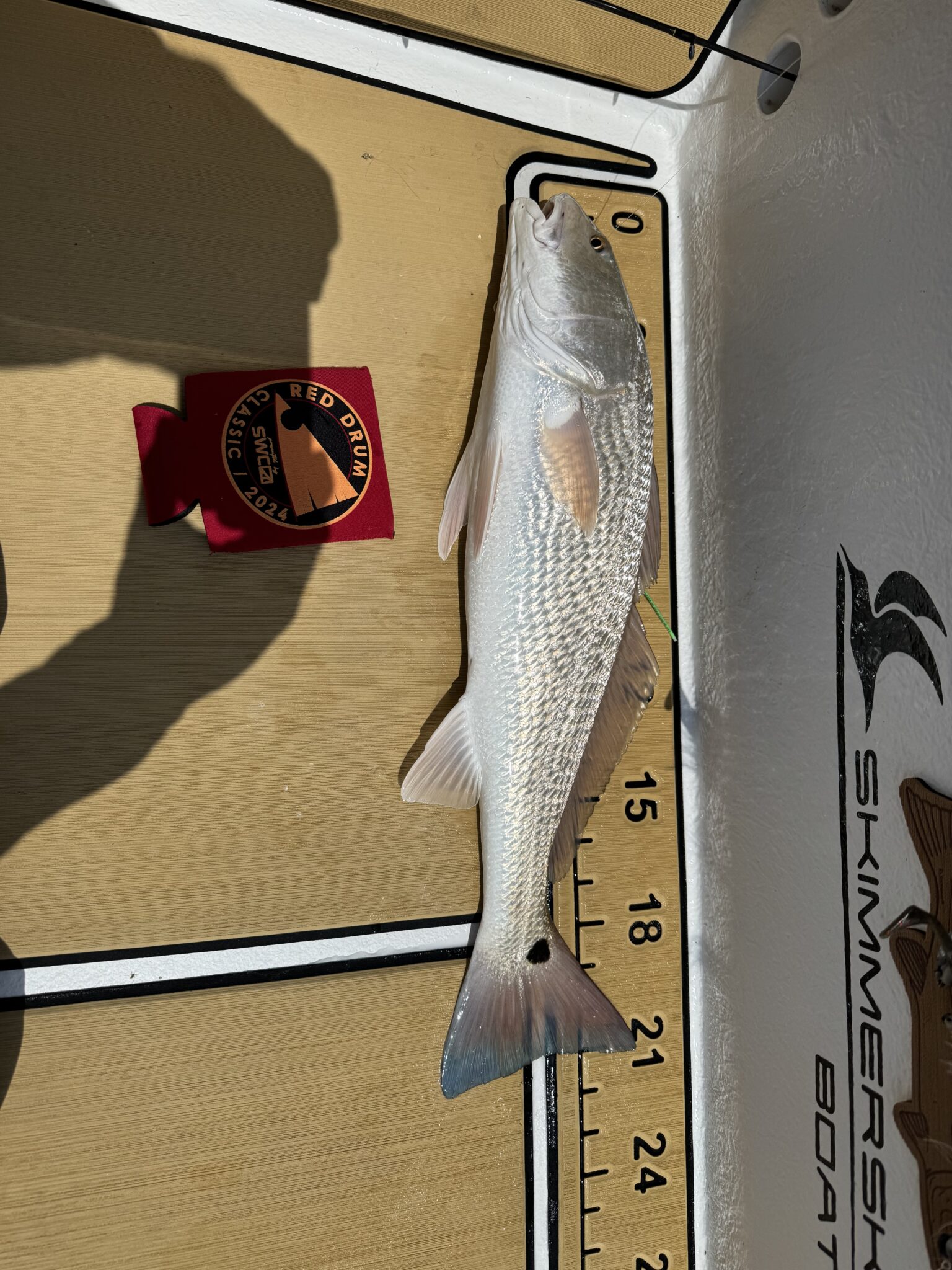 Redfish 5 – Red Drum Recovery! | Gray FishTag Research