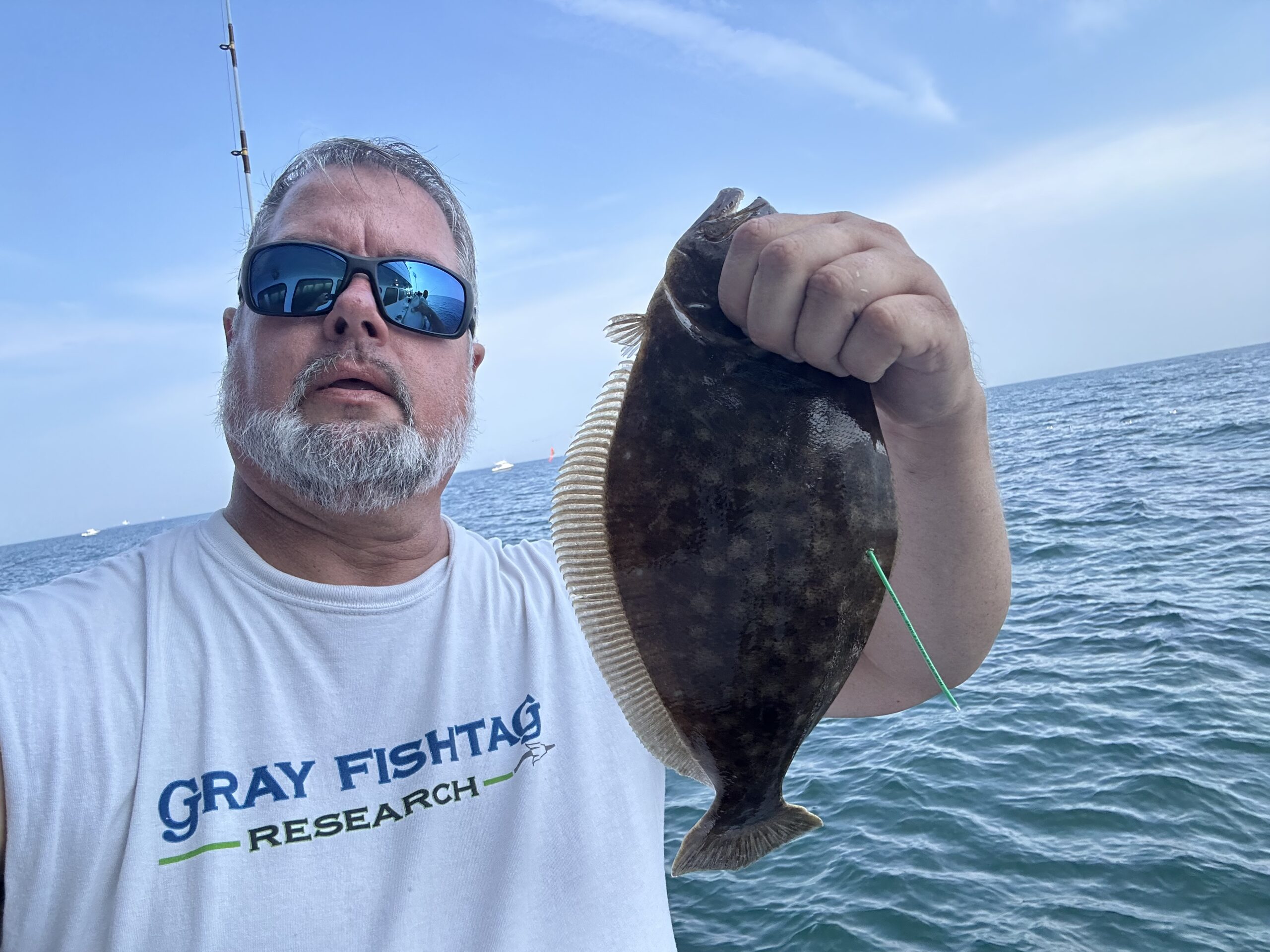 Flappy | Gray FishTag Research