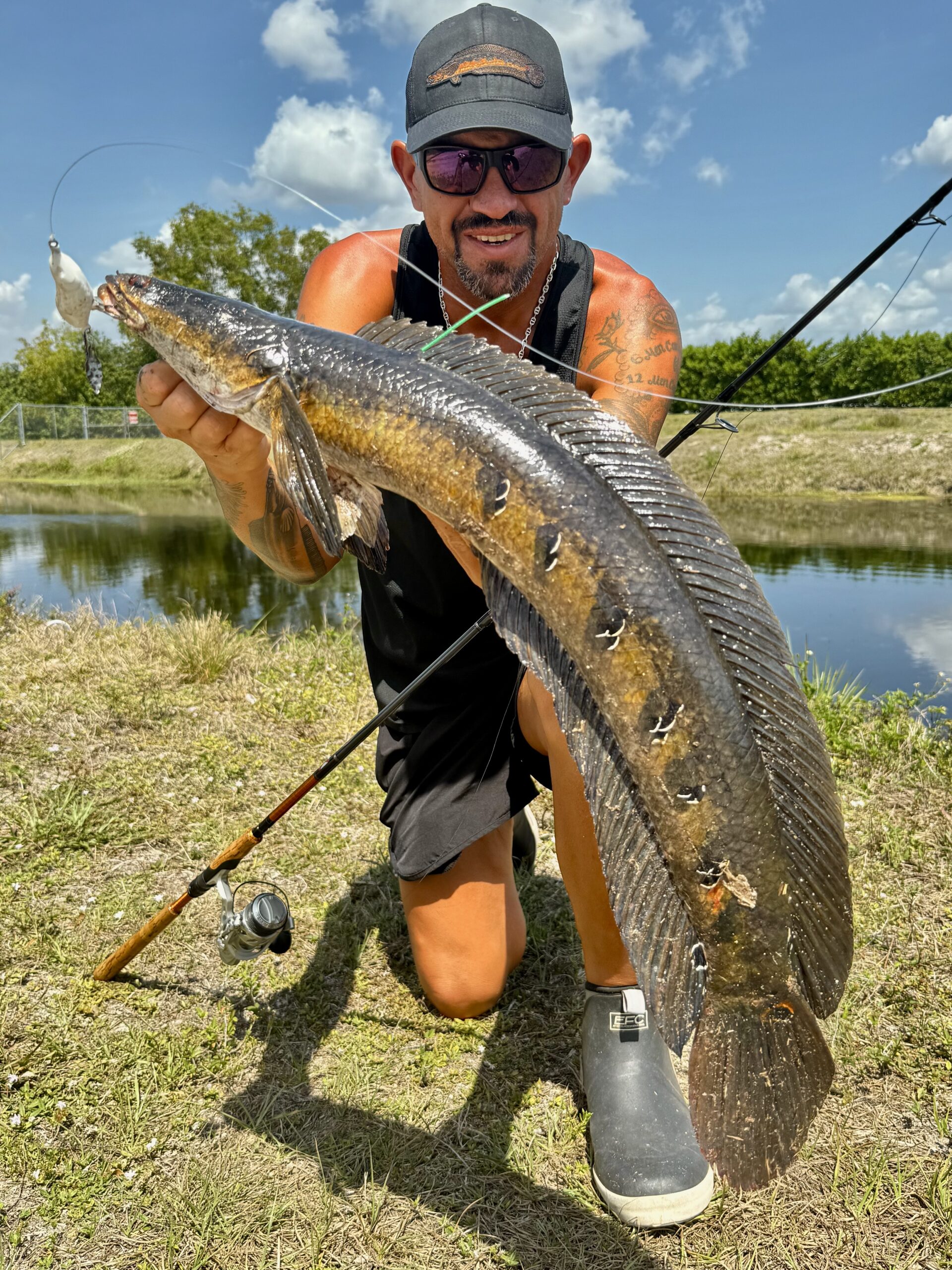 Bullseye Billy | Gray FishTag Research