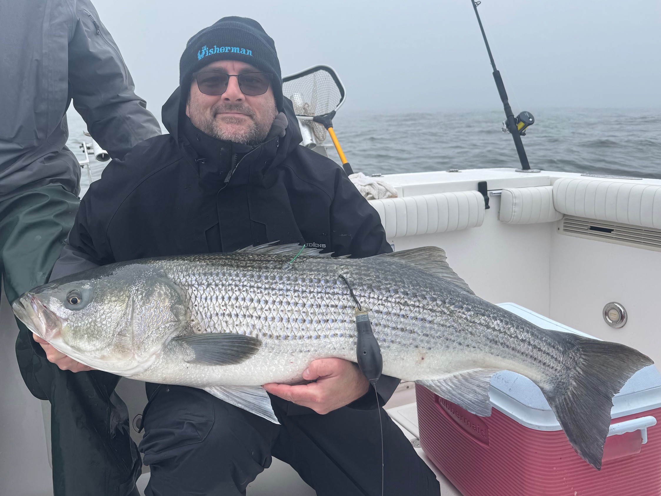 StriperQuest 2025 Satellite Tag! | Gray FishTag Research