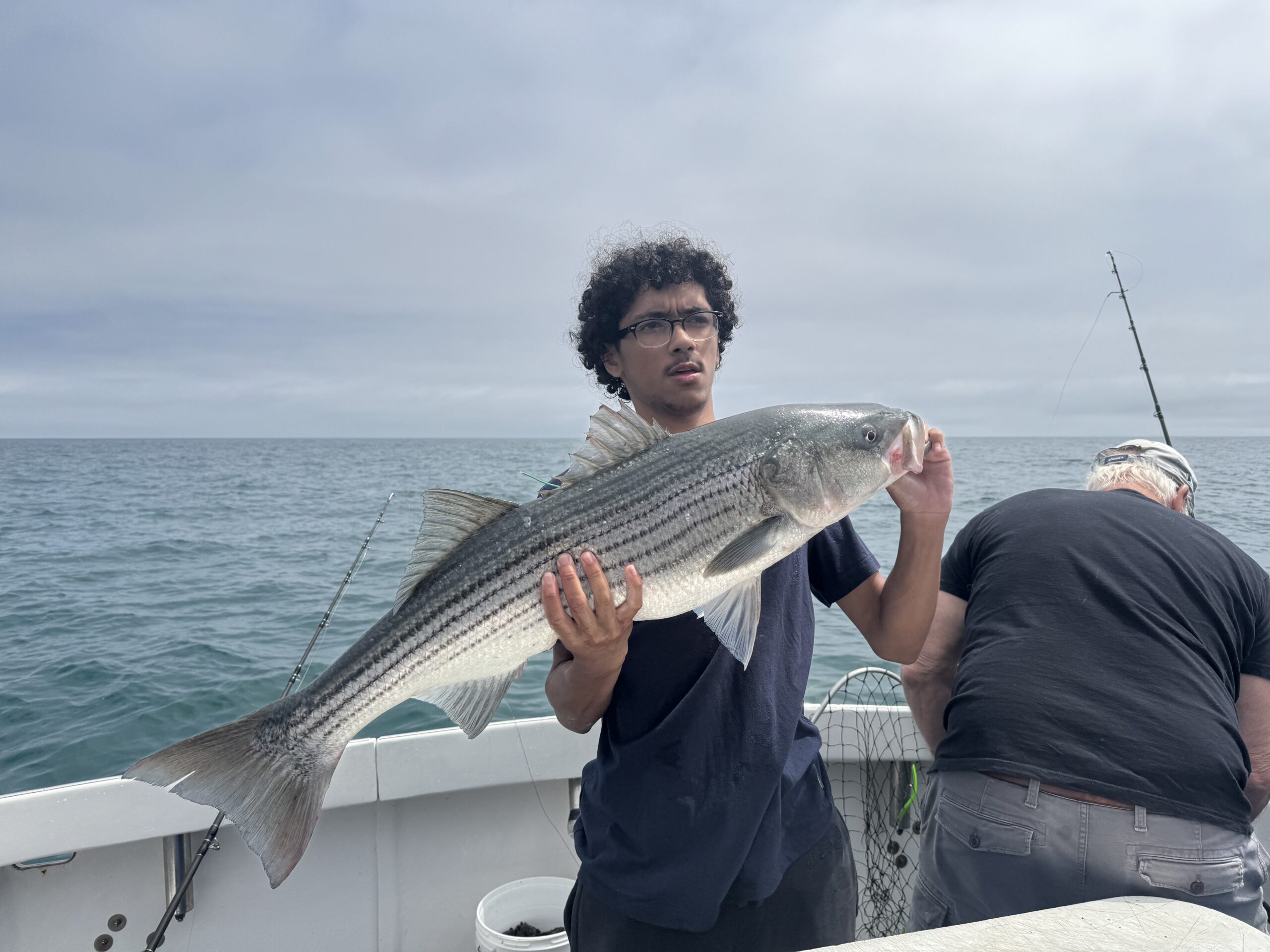 Daddy Buzz | Gray FishTag Research