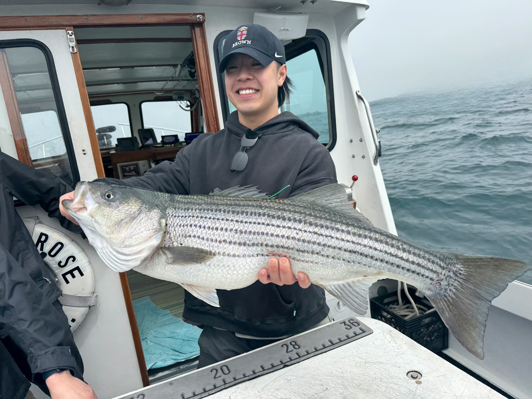 The Prajit | Gray FishTag Research