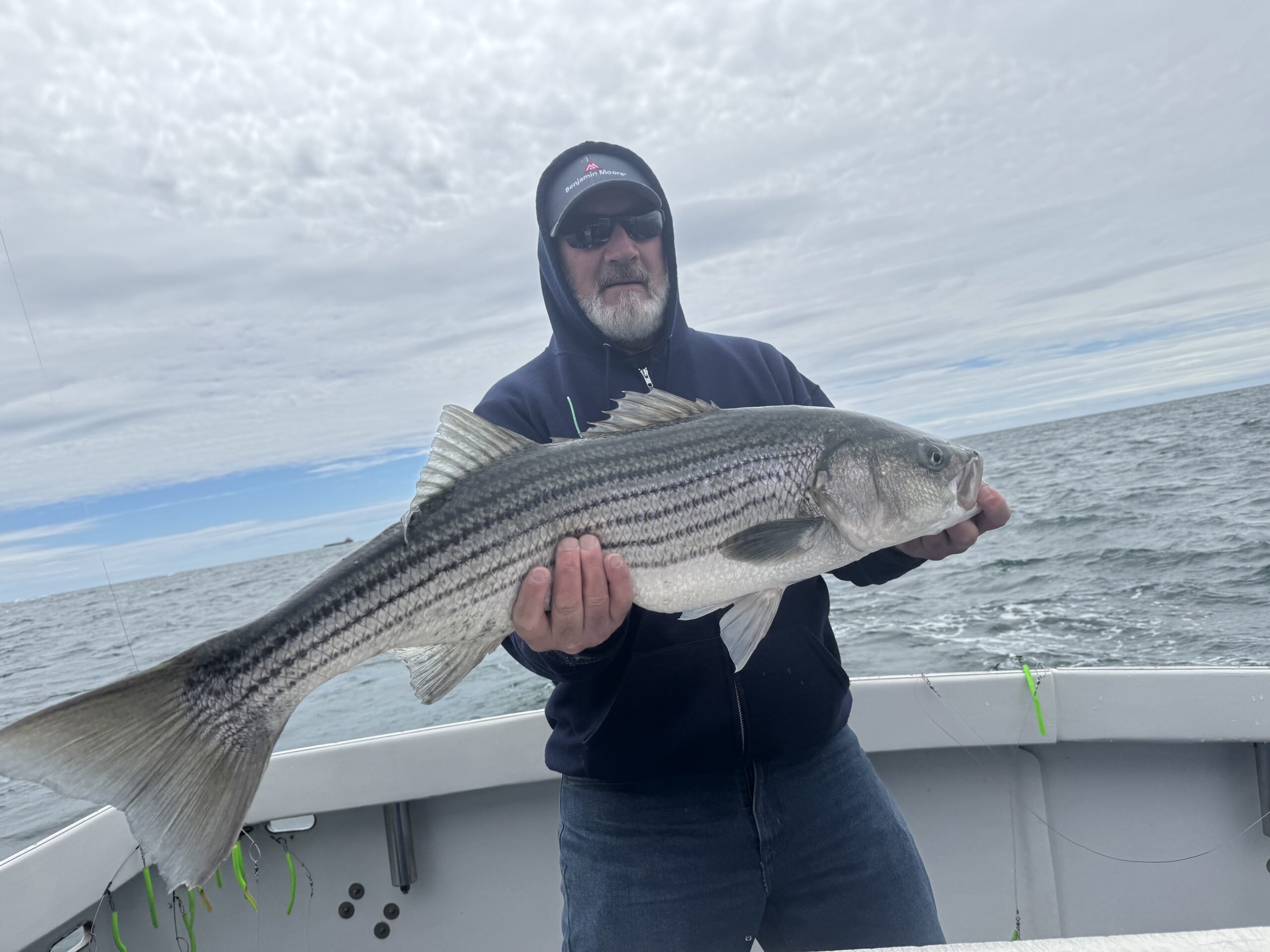 Ship Shape | Gray FishTag Research