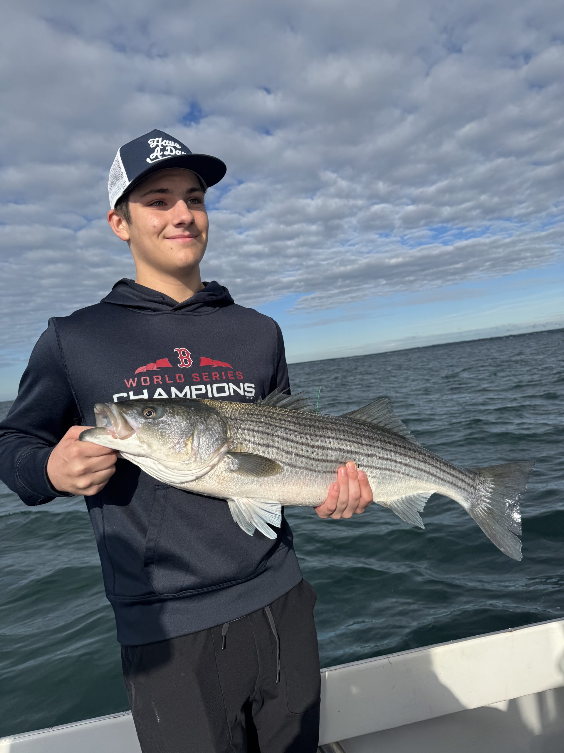 Vandy | Gray FishTag Research