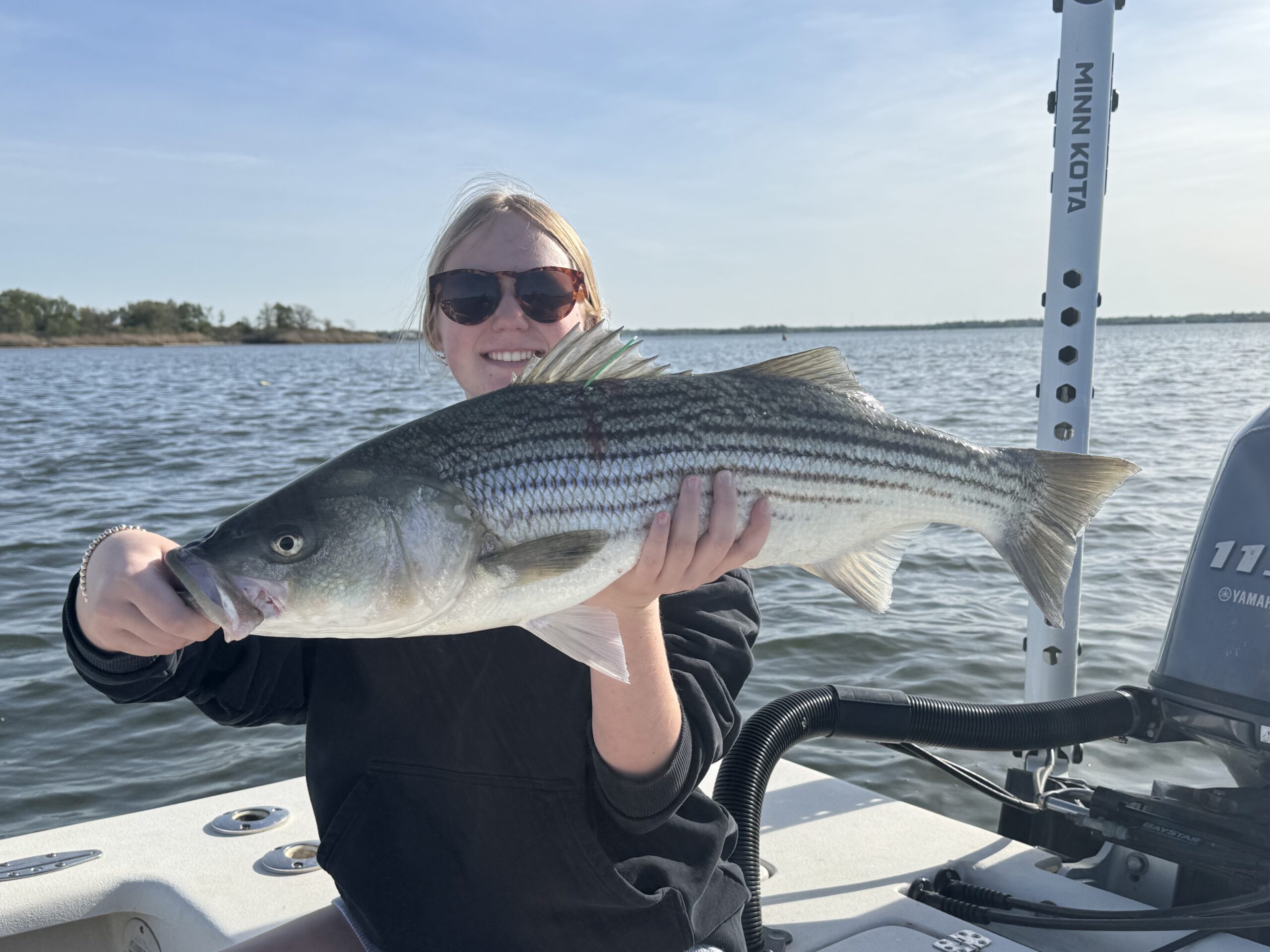Cinnamon Toast | Gray FishTag Research