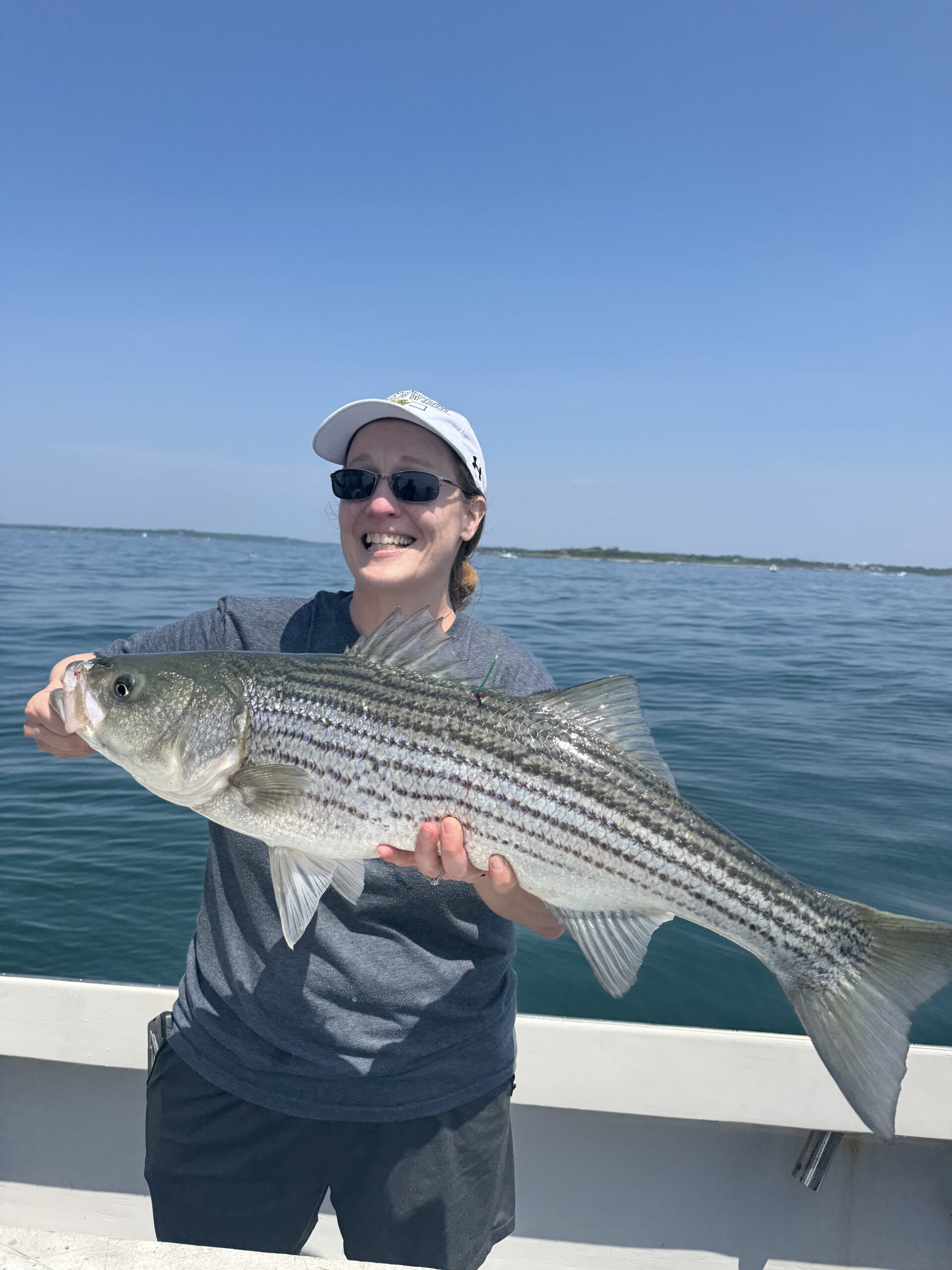 Hero | Gray FishTag Research