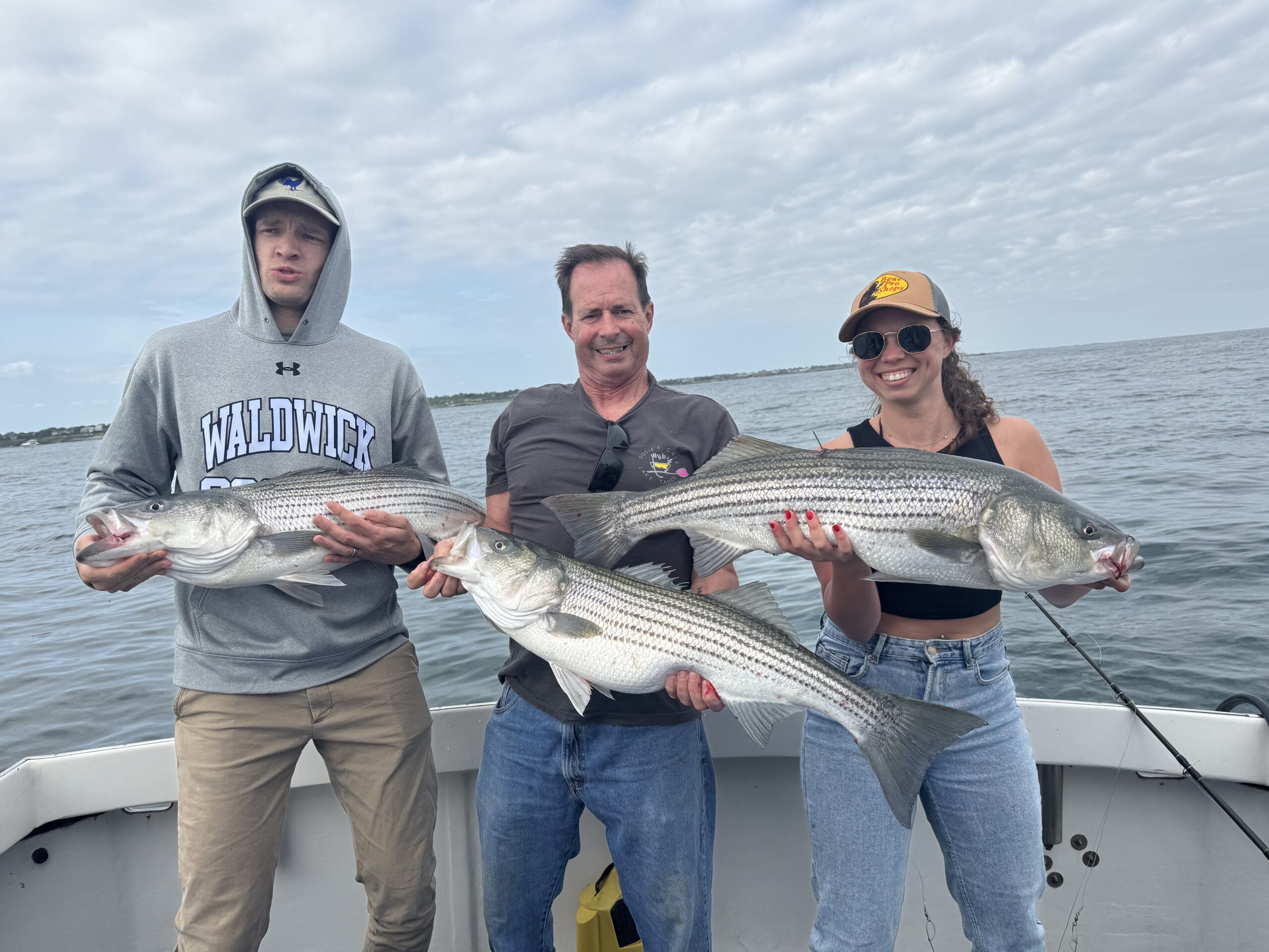 Gravy | Gray FishTag Research