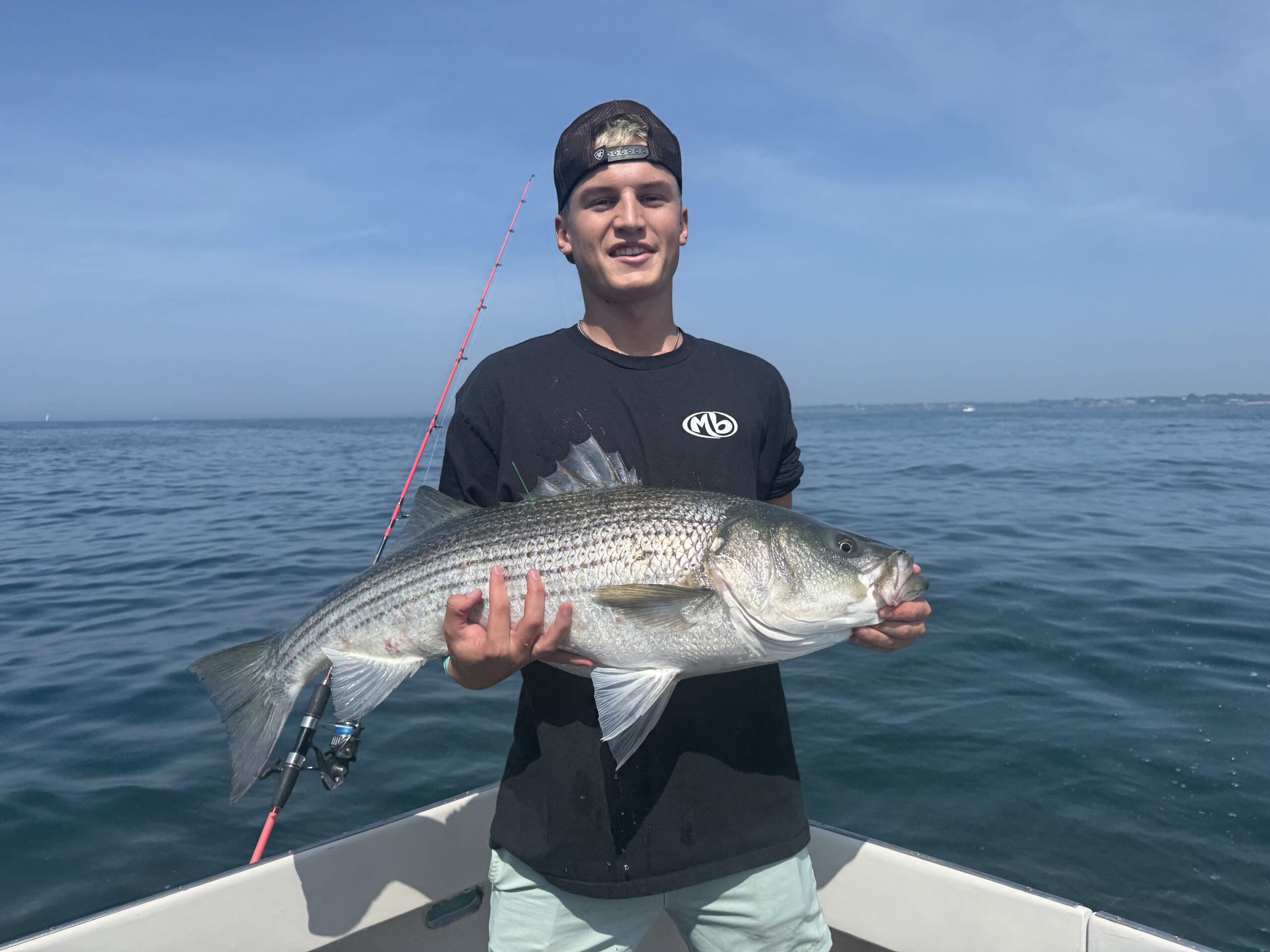 Bubble Bass | Gray FishTag Research