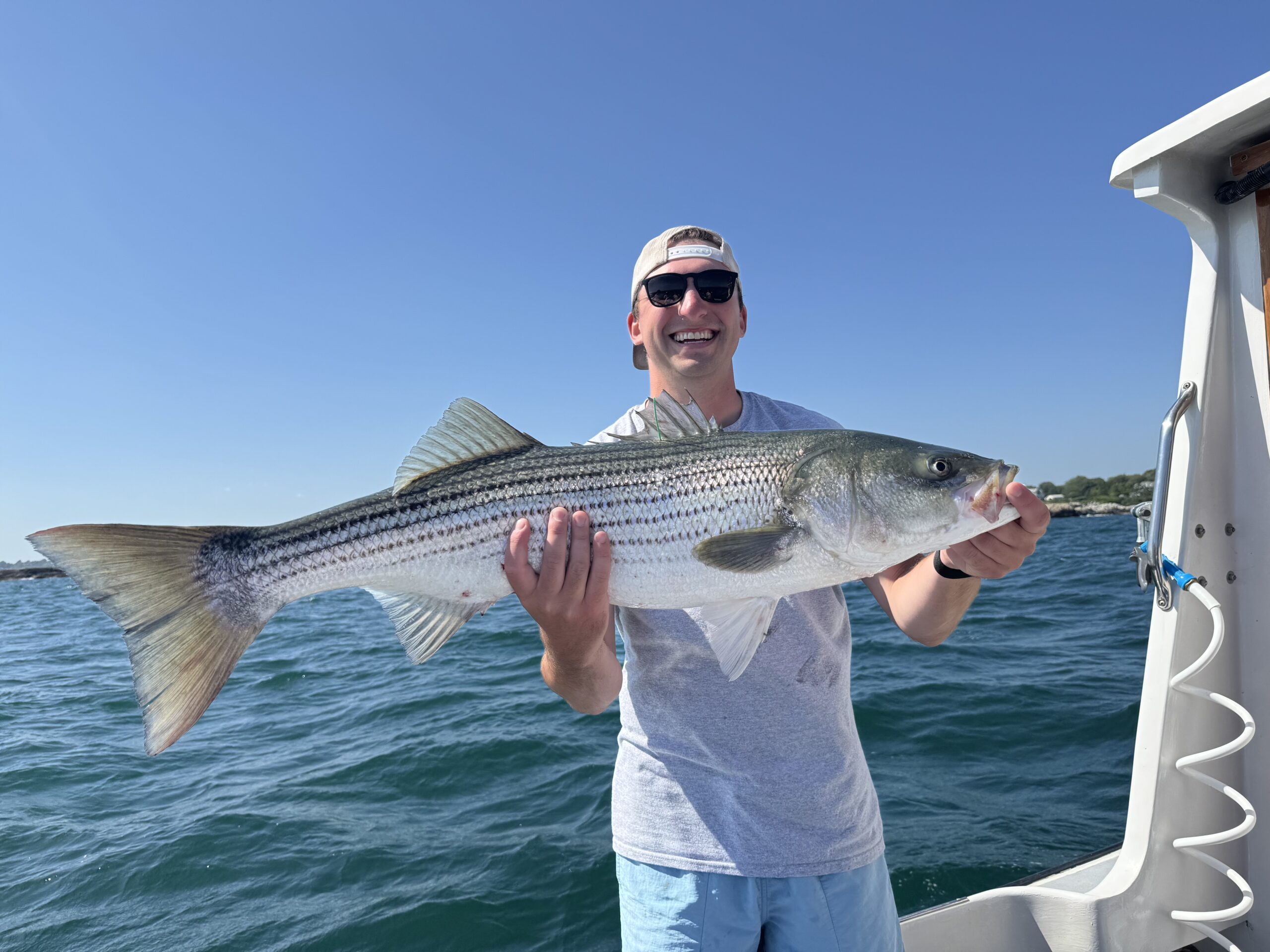 Worm | Gray FishTag Research