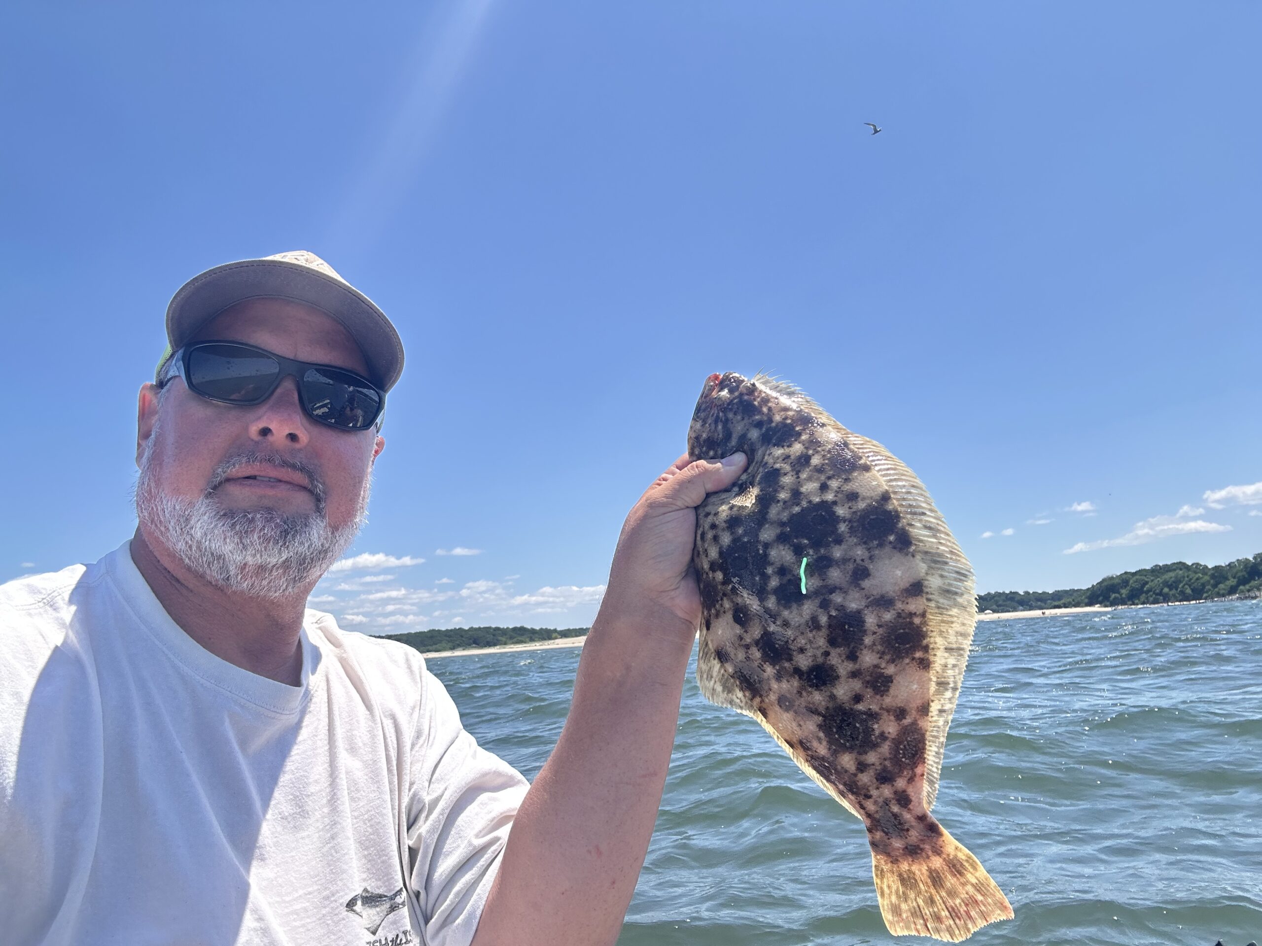 Freedom Flounder | Gray FishTag Research