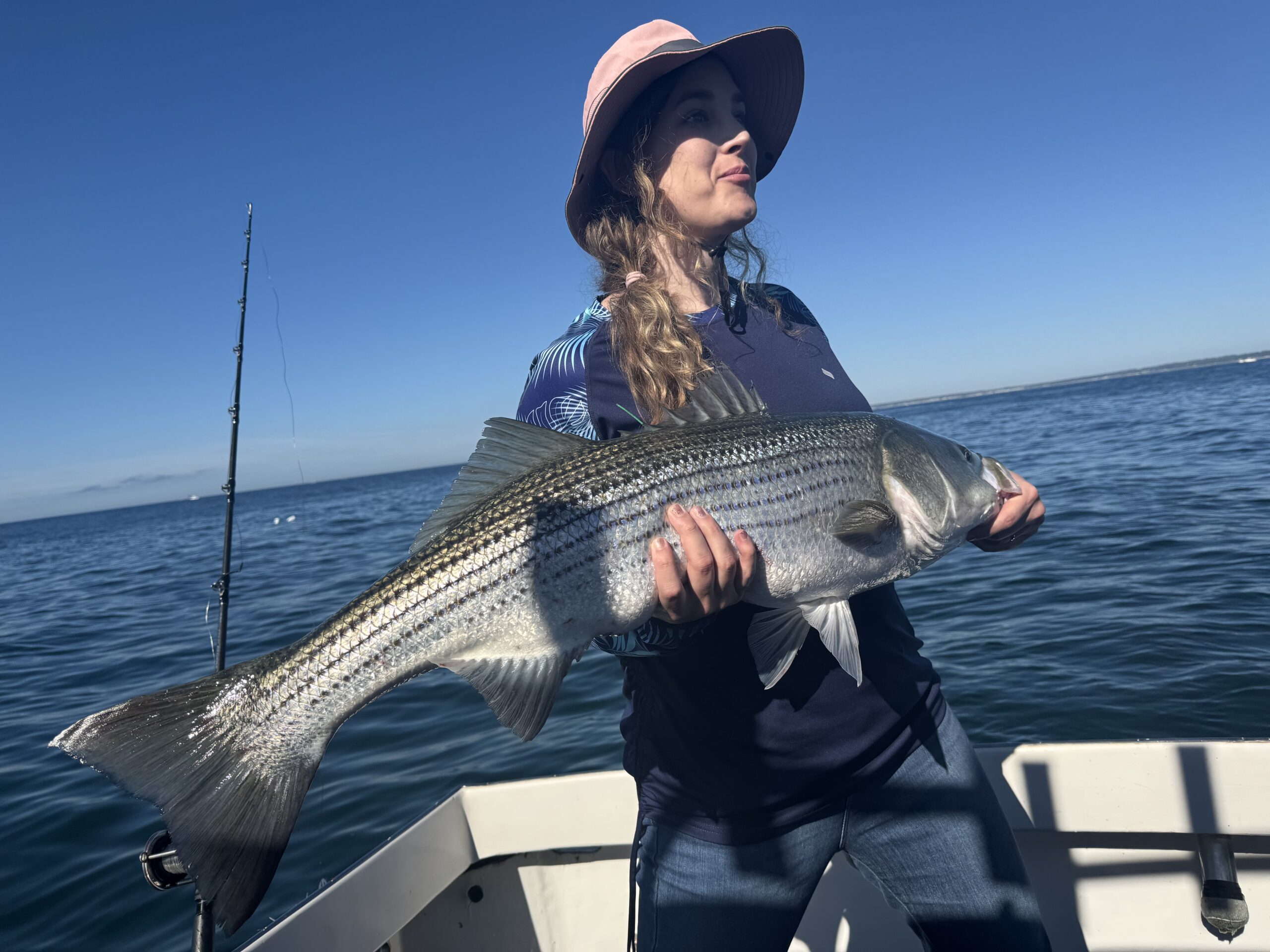 Scaley | Gray FishTag Research