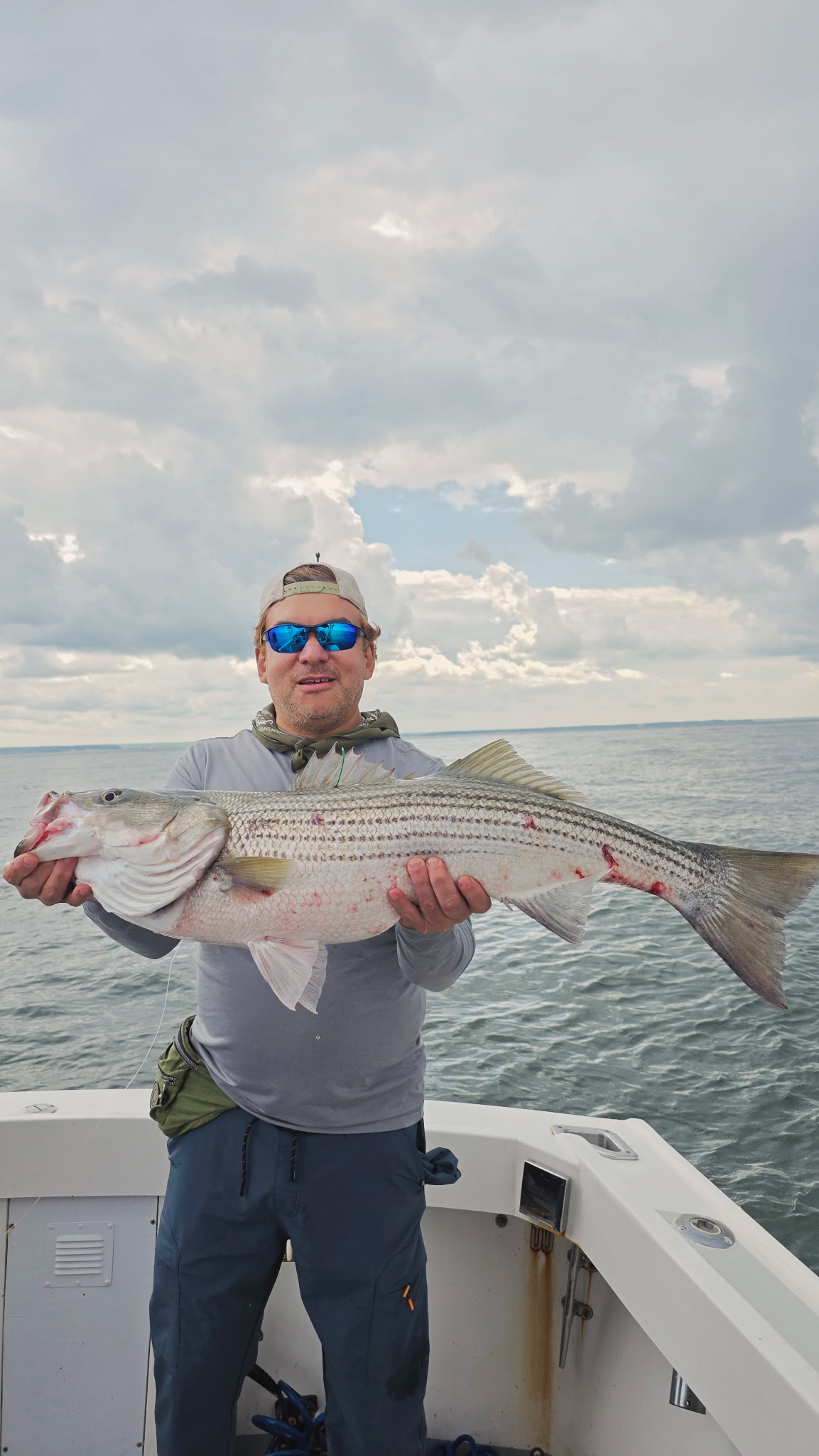 Teddy bear | Gray FishTag Research