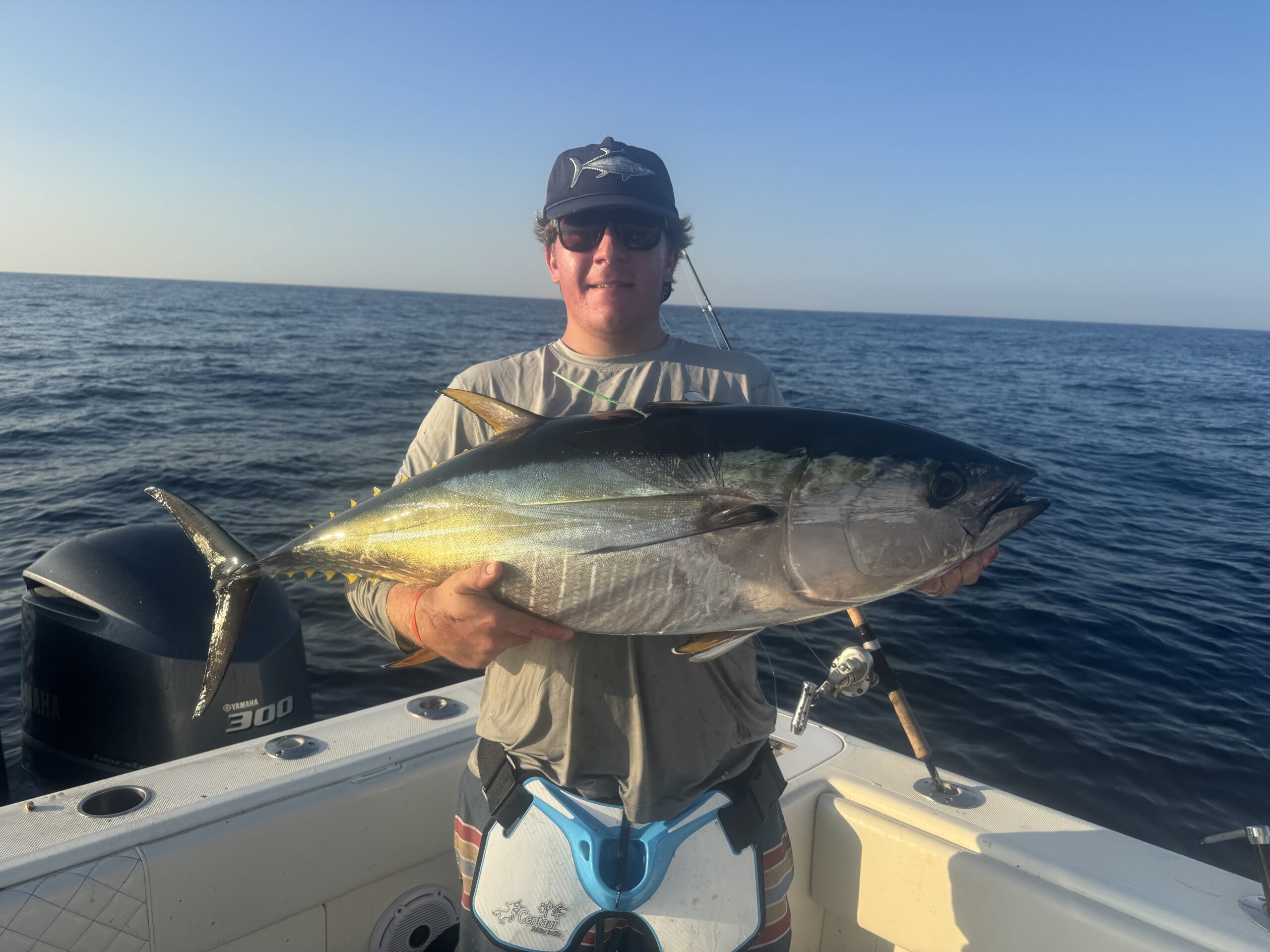 Tedster | Gray FishTag Research