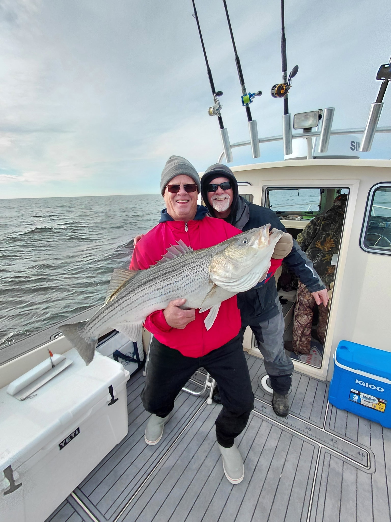 Sissy Mae | Gray FishTag Research